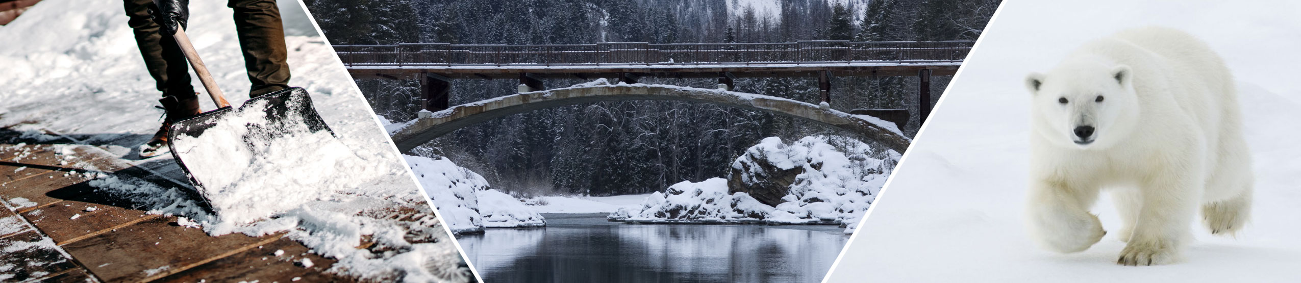 NAAC40 - Cryotech Deicing Technology