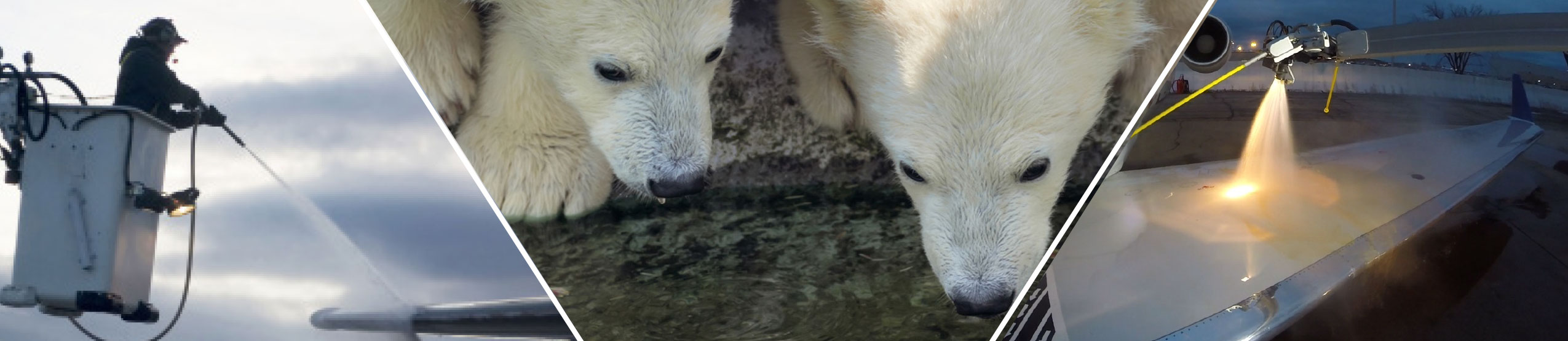 Polar Plus LT - Cryotech Deicing Technology